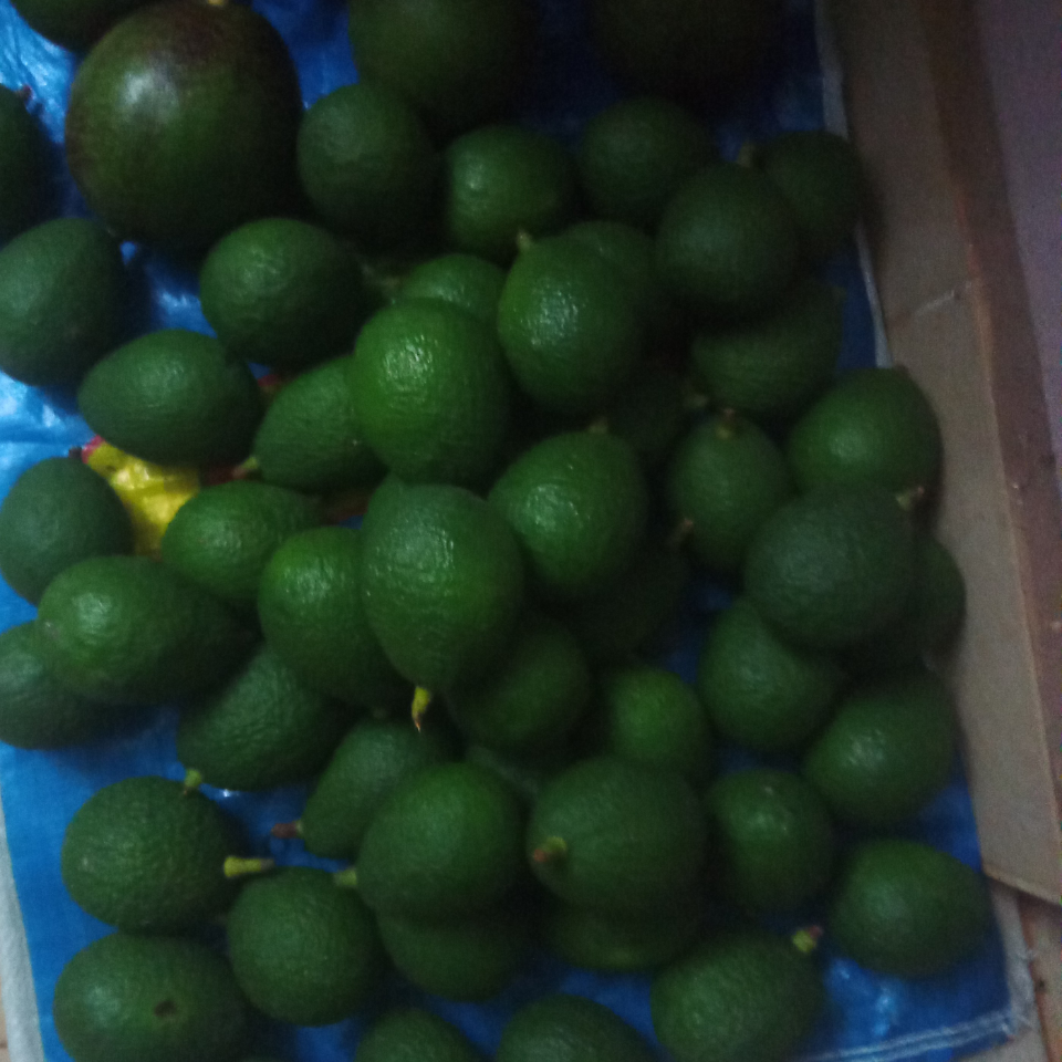 Mkulima Bora Portal - A digital market place for small-scale farmers